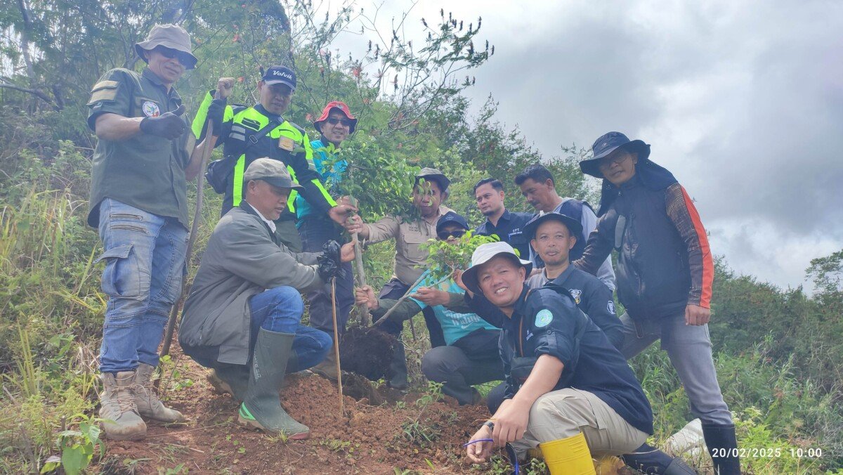 Antusiasme Peserta dan Filosofi Penanaman Pohon Beringin di Puncak ...