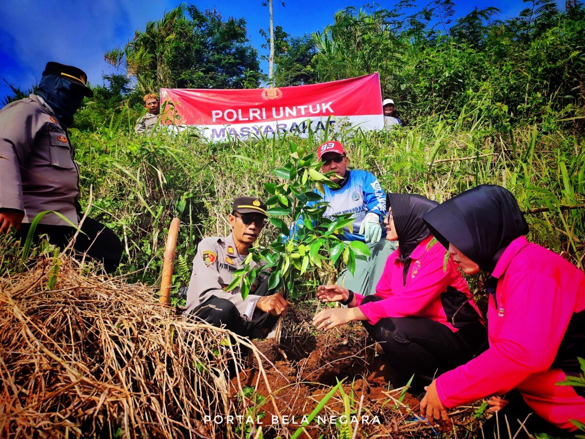 KOLOBRASI HIJAU #18, Polsek Cikajang Menanam Harapan di Gunung ...